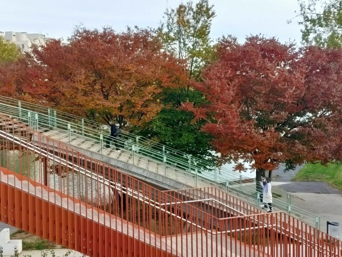 Pictures of the Day, 02 January 2026 - Business Lounge