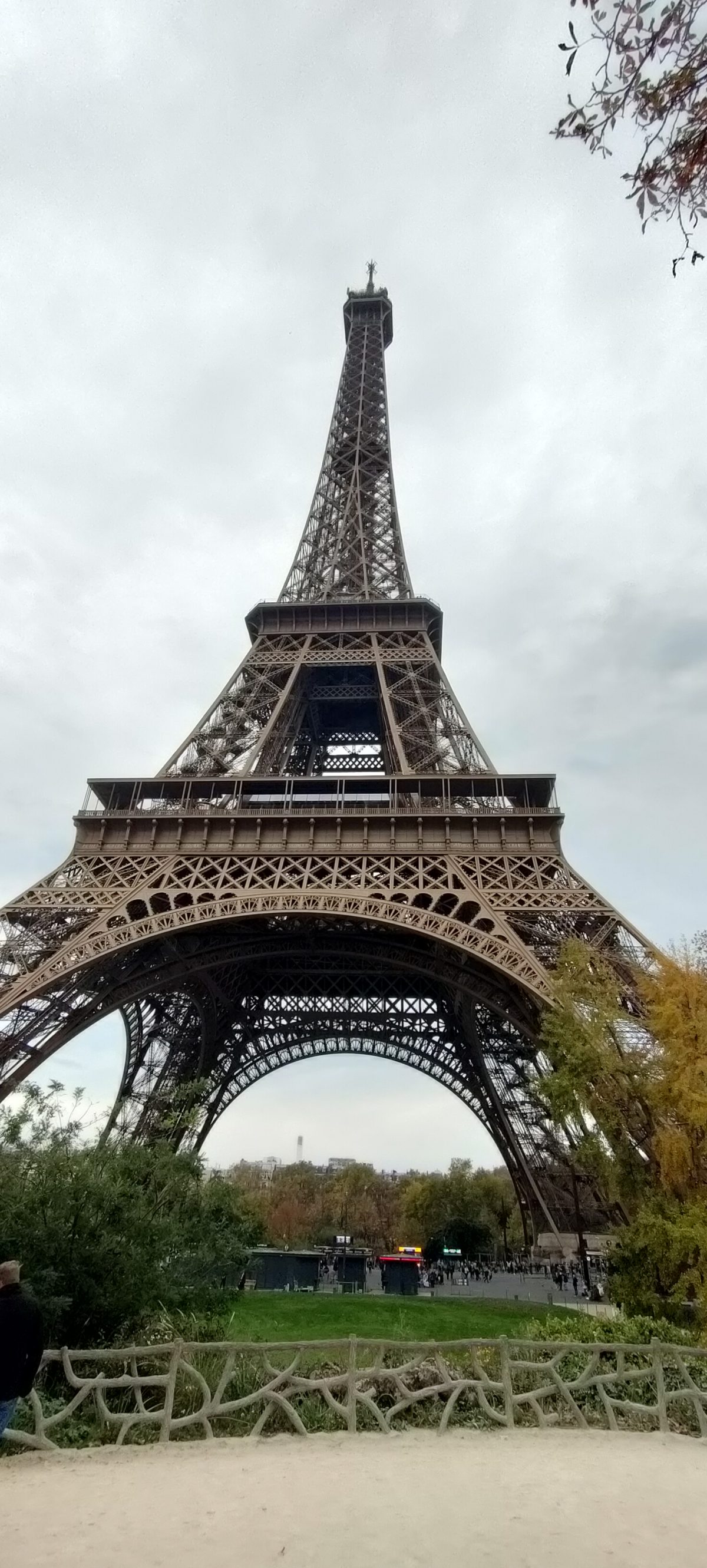 Pictures of the Day, 15 December 2025 - Business Lounge